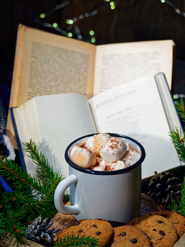 6 Christmas Love Novels to Put you in a Holiday Spirit | From Enemies ...